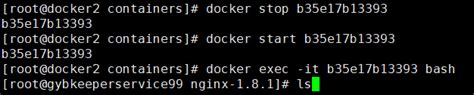 docker exec 报错：error code 13 desc invalid header field value oci