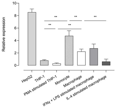 Ijms Free Full Text Procpu Is Expressed By Primary Human
