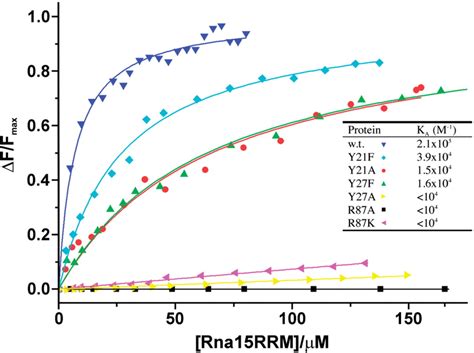 Examination Of The Binding Affinity Of U G Pocket Mutants By