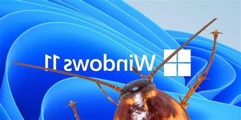 Windows 11 May Not Be Open When You Restore Your Windows 11 Game News 24