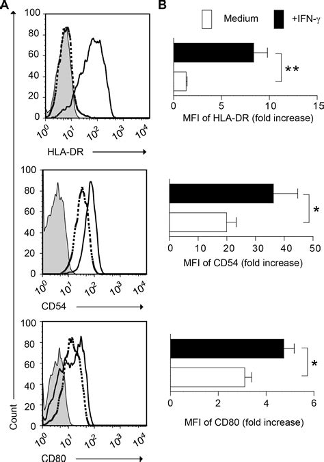 supplemental materials for human mast cells drive memory cd4 t cells