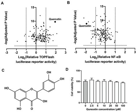 Ijms Free Full Text Long Non Coding Rna Malat1 Increases The