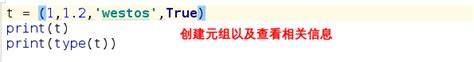 python中元组的定义以及如何创建元组 什么条件才是元组 csdn博客
