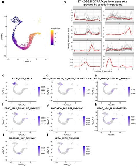 Applying Gsdensity To Single Cell Trajectory Analysis Reveals