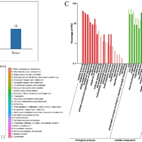 A Quantity Distribution Of Differentially Expressed Proteins B Cog