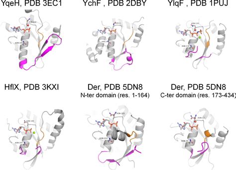 Figures And Data In Evolution Of Cation Binding In The Active Sites Of