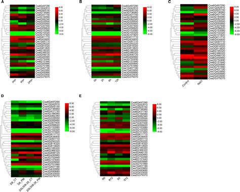 Frontiers Genome Wide Characterization Phylogenetic And Expression
