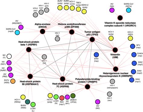 Interaction Map Of The 10 Most Multifunctional Human Proteins Targeted