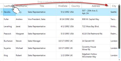 tutorial binding to hierarchical data radgridview telerik ui for hot