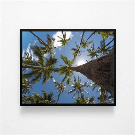 Palm Tree Print Beach Wall Art Hawaii Decor Poster Palm Tree