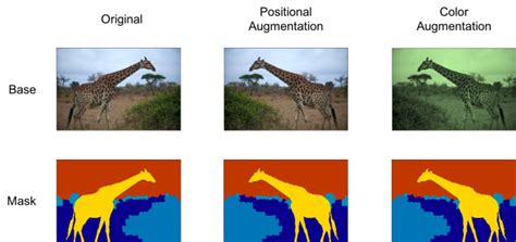 do custom dataset image segmentation using deep learning by