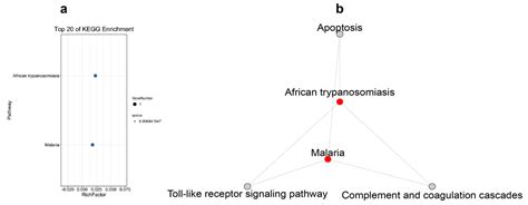 Ijms Free Full Text Comparative Transcriptomic Analyses Revealed