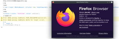 firefox 72 0 1 webgl errors and failed face detection · issue 541