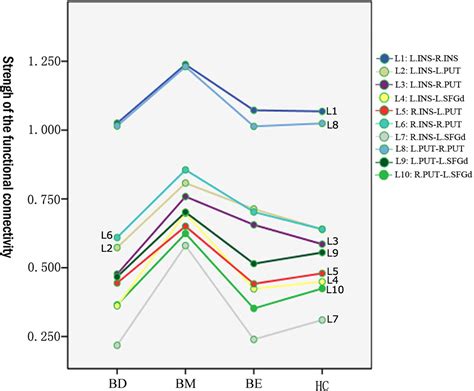 Frontiers Bipolar Mood State Reflected In Functional Connectivity Of