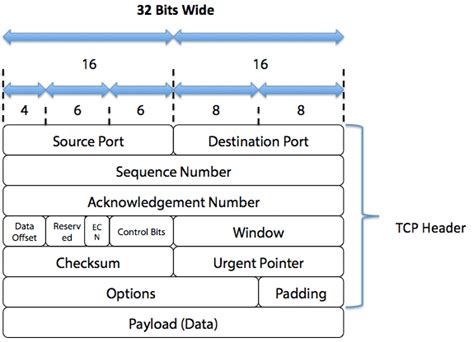 Tcp Packet Structure