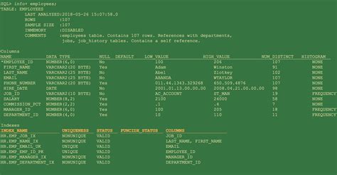 oracle11g how can i describe a table in oracle without using the
