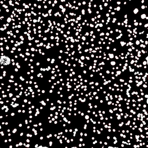 python opencv simple blob detector not detecting all blobs stack