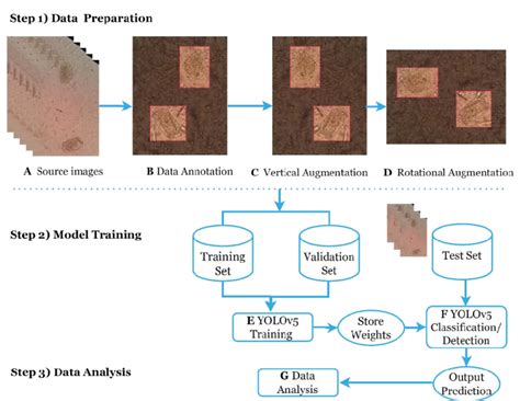 flow chart of data preparation and analysis depict various steps that