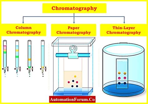 Chromatography Definition Principle Types And