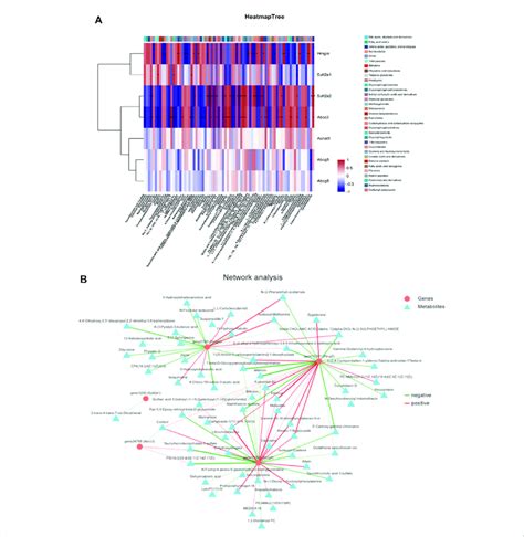 Correlation Analysis Of Metabolic Biomarkers And Degs Based On Spearman