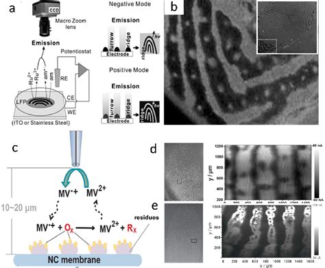 A Schematic Representation Of Ecl Imaging Principle Of Two Modes B