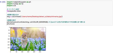 i want to display an image on jupyter notebook using opencv mac