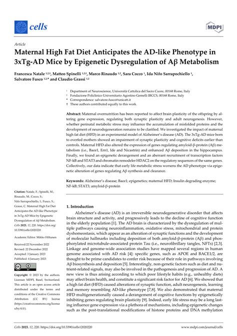Pdf Maternal High Fat Diet Anticipates The Ad Like Phenotype In 3xtg