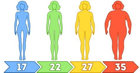 How To Calculate Your Bmi 5 Minute Crafts