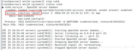 linux基础 服务管理 systemctl命令 网络管理（虚拟机可以上网了） systemcil 查看网卡服务 我是大肥鼠的博客 csdn博客