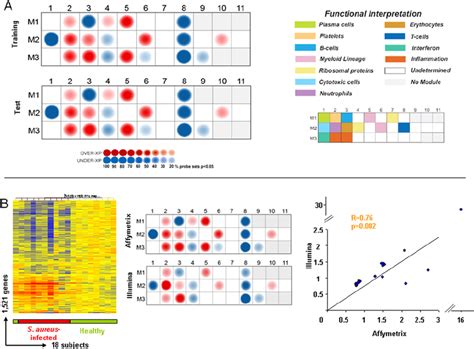 Module Analysis Identifies A Specific Gene Expression Profile In The