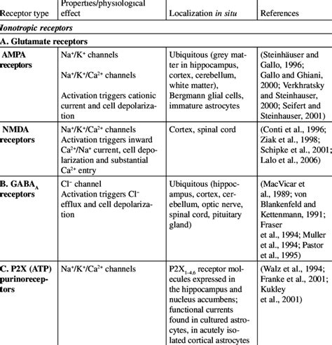 Neurotransmitters And Their Functions Chart