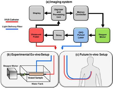 A Overall Ivus Ivpa Imaging System B Ex Vivo Prototype