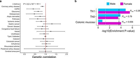 Genetic Correlations Between Male And Female Specific Gwas A Genetic