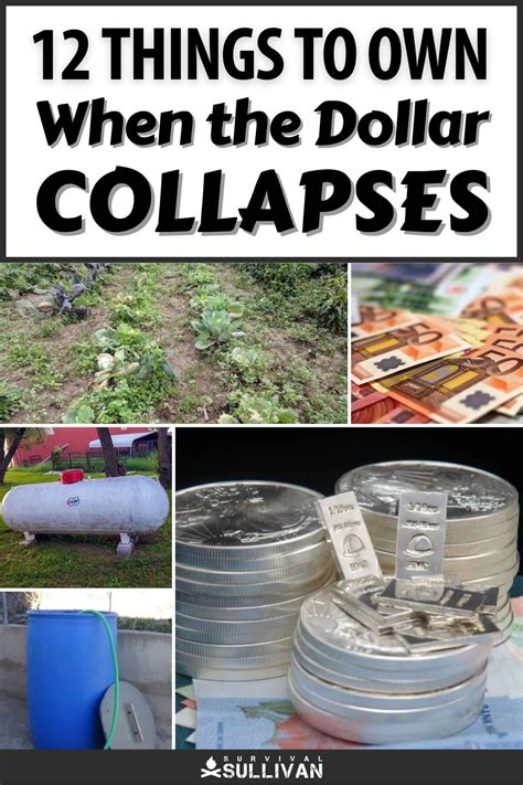 12 Things To Own When The Dollar Collapses Survival Sullivan In 2024