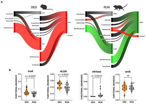 Frontiers Exploring The Interplay Between Running Exercises