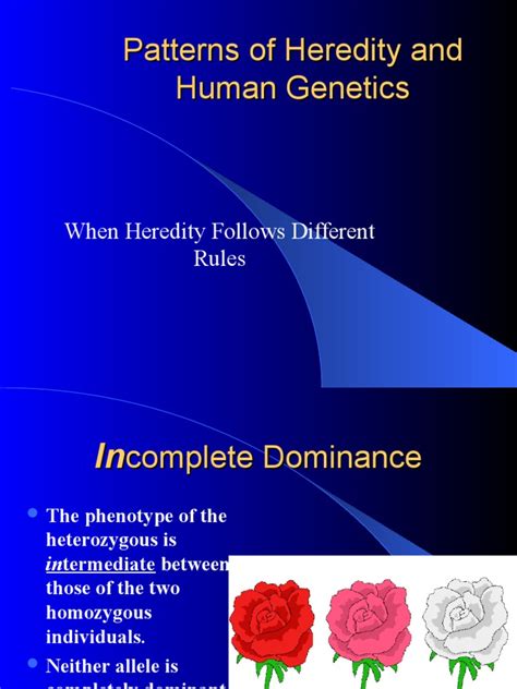 Complex Inheritance Patterns Dominance Genetics Zygosity