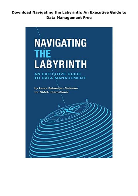 Download Navigating The Labyrinth An Executive Guide To Data