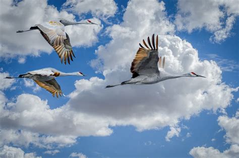 how to migrate from lombok to kotlin level up coding