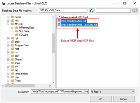 move sql database files in sql server 2019 on linux