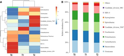 Distribution And Structure Of Microbial Community At The Phylum Level