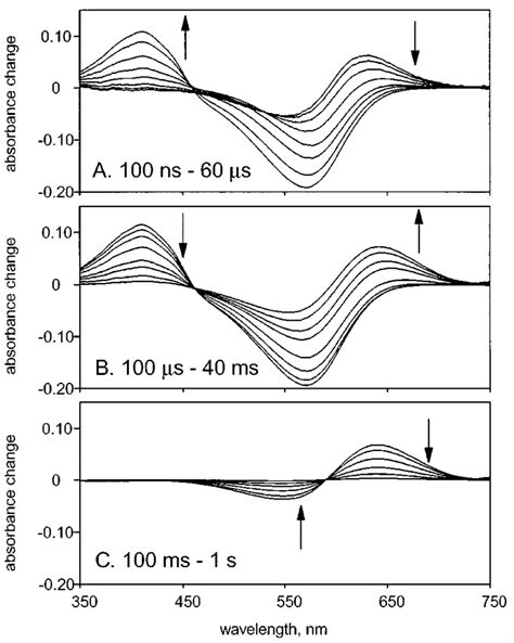 Time Resolved Difference Spectra In The Photocycle Of E204q