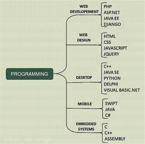 which programming language is used to create websites