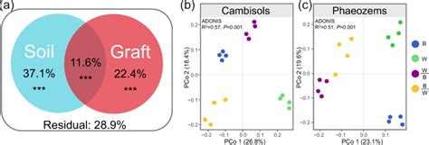 Two Way Permutational Multivariate Analysis Of Variance Permanova And