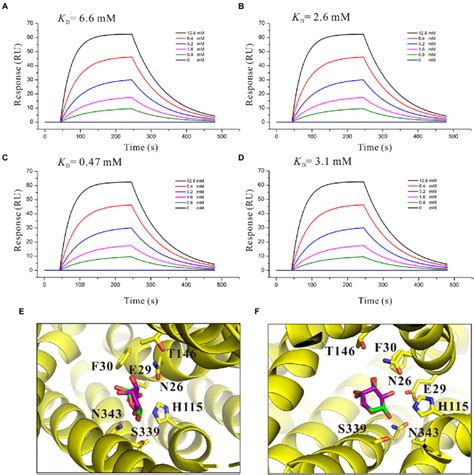 Affinity Analysis Of Sotb With L Arabinose Analogs A Binding