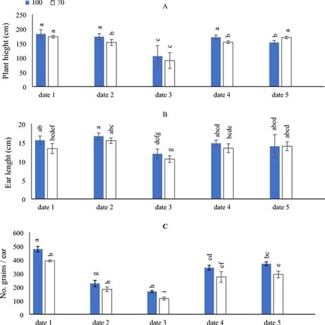 The Interactive Impact Of Sowing Dates And Irrigation Levels On Maize