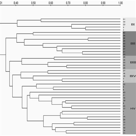 Upgma Dendrogram Of 43 A Chroococcum Strains Rapd 1 43 No Of