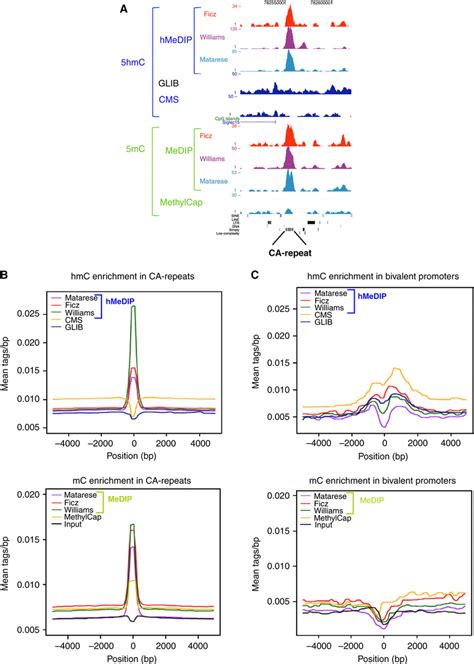 5hmc And 5mc Distributions At Ca Simple Repeats And Bivalent Promoters