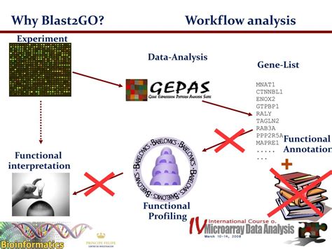 Ppt Functional Annotation With Blast2go Powerpoint Presentation Free