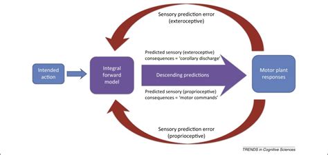 Getting Ahead Forward Models And Their Place In Cognitive Architecture