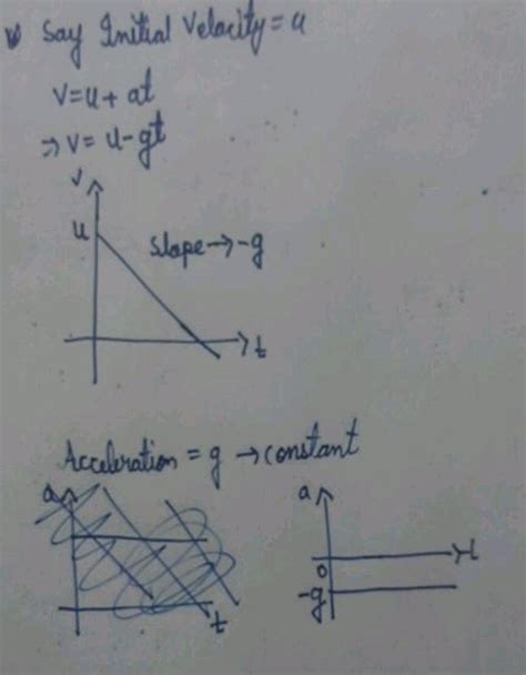 Velocity Time Curve For A Body Projected Vertically Upwards